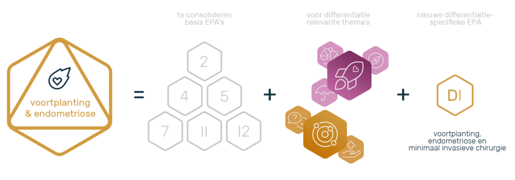 Differentiatie - LOGO